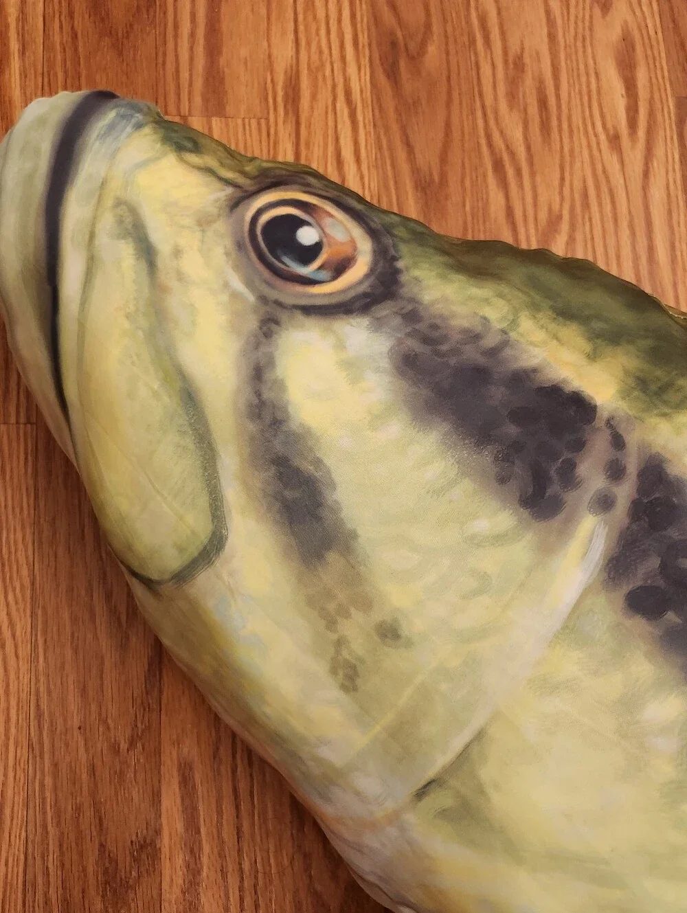 Toys | Treehouse Kids Giant Fish Plush | Poshmark